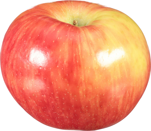 Organic Honeycrisp Apple | Hy-Vee Aisles Online Grocery Shopping